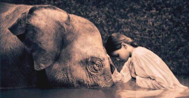 Que es la humildad importancia y ejemplos l losvalores.org